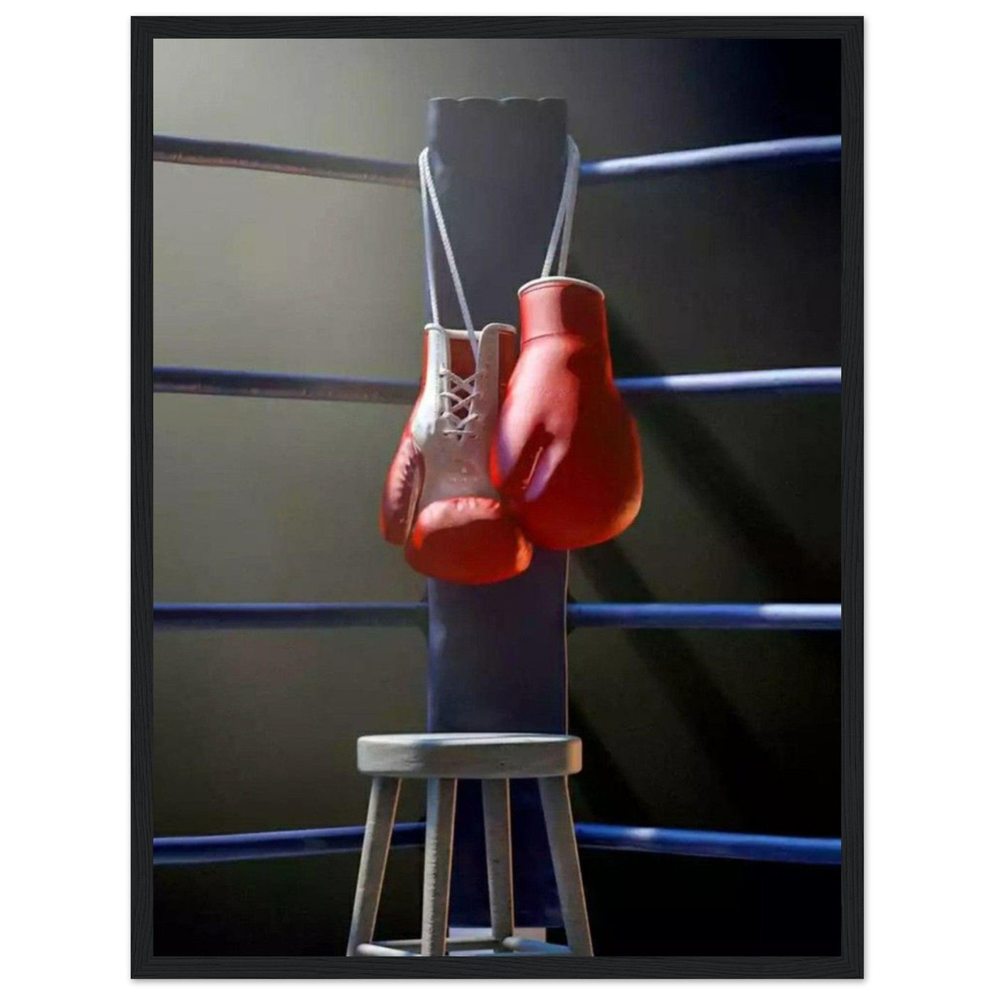 Tableau Gants De Boxe Ring